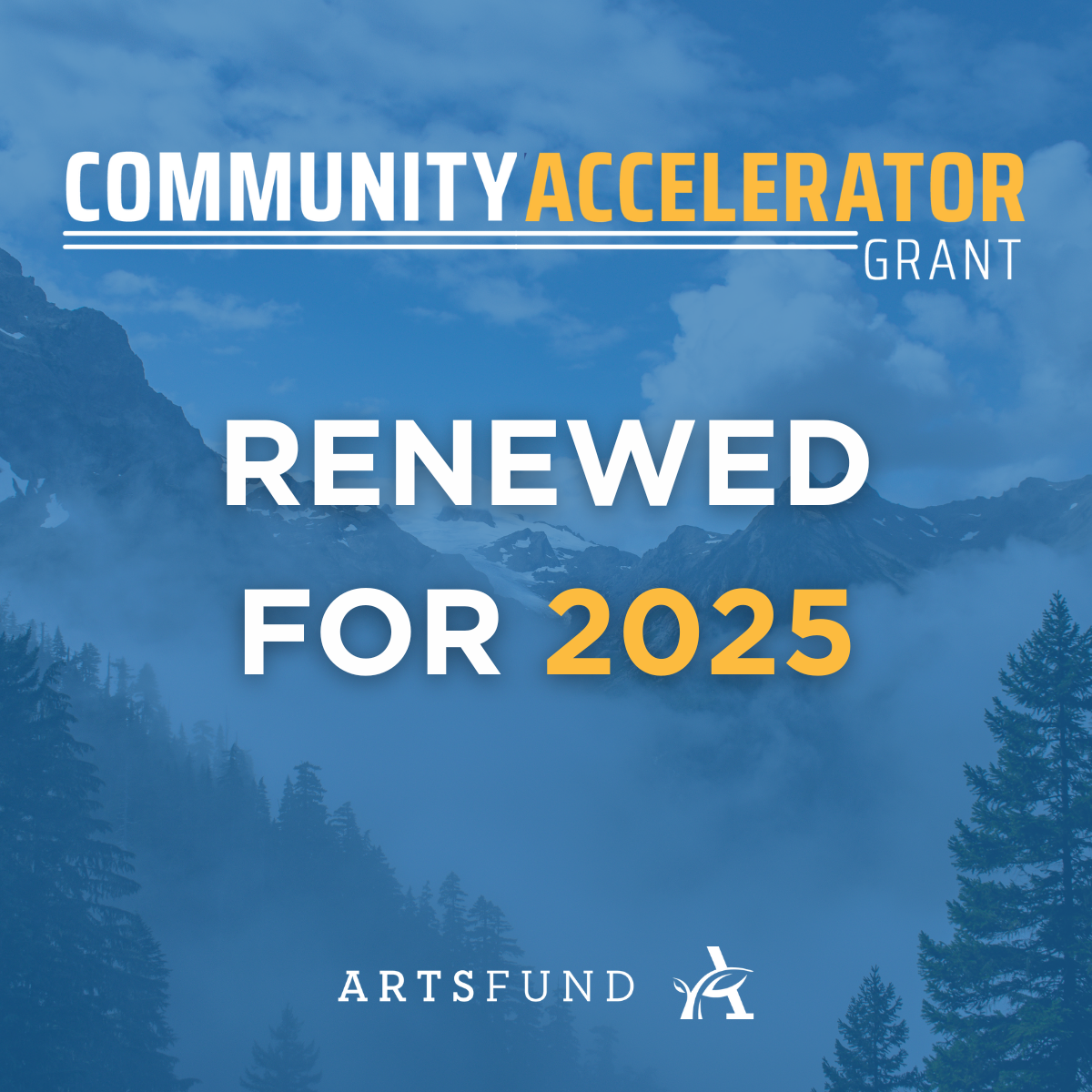 Community Accelerator Grant Program | ArtsFund
